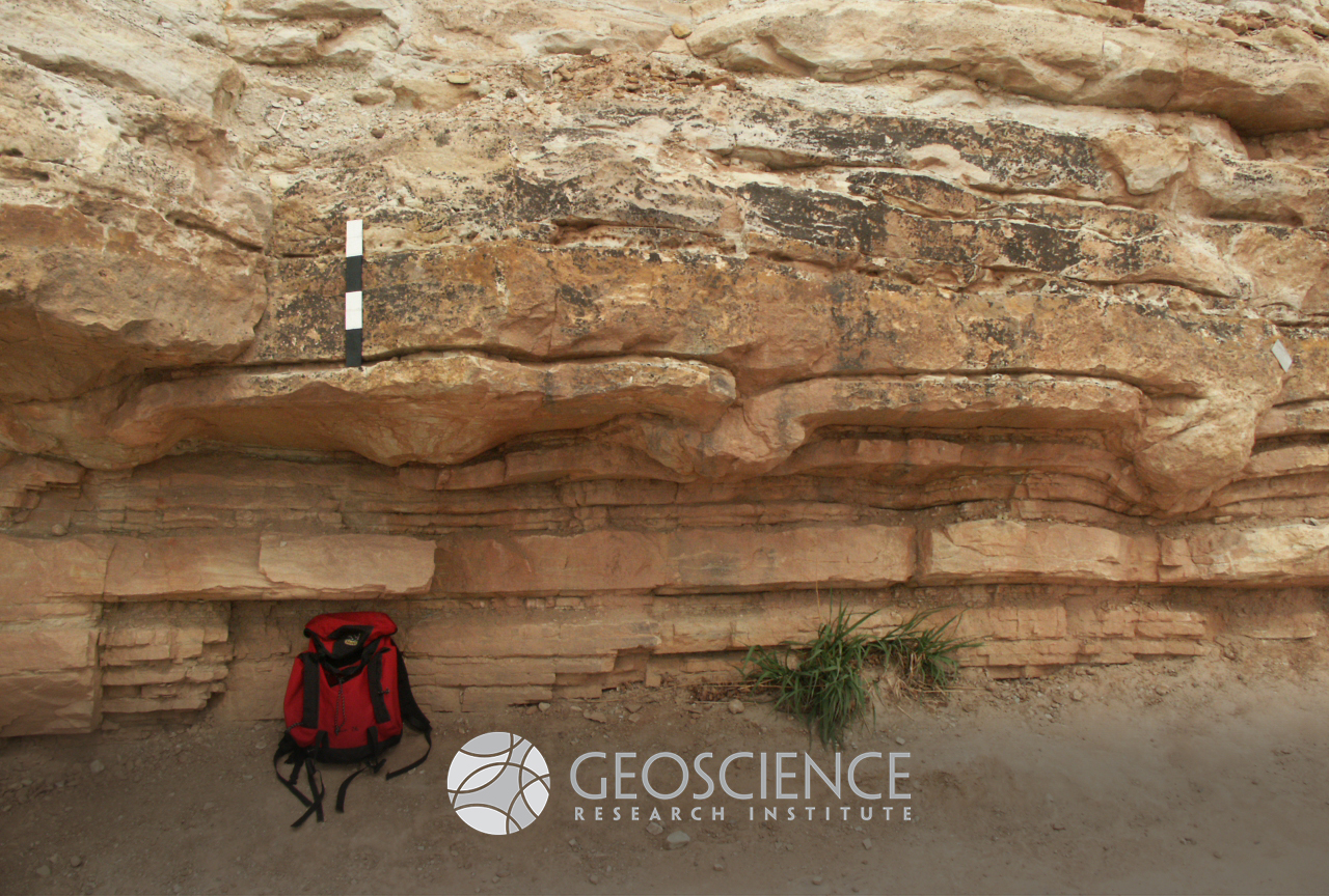 Geoscience Research Institute | Paleontology